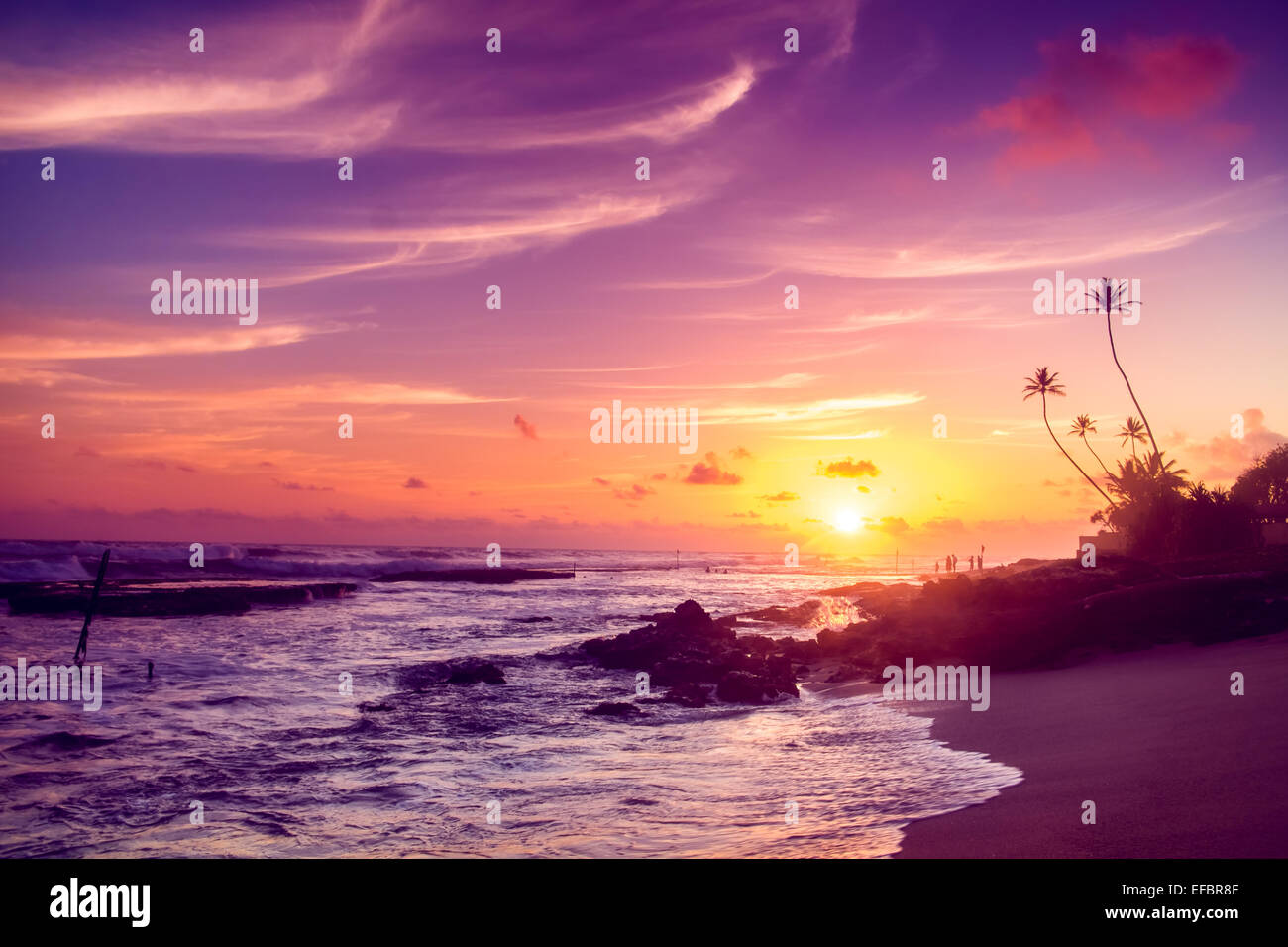 beautiful sunset Stock Photo - Alamy