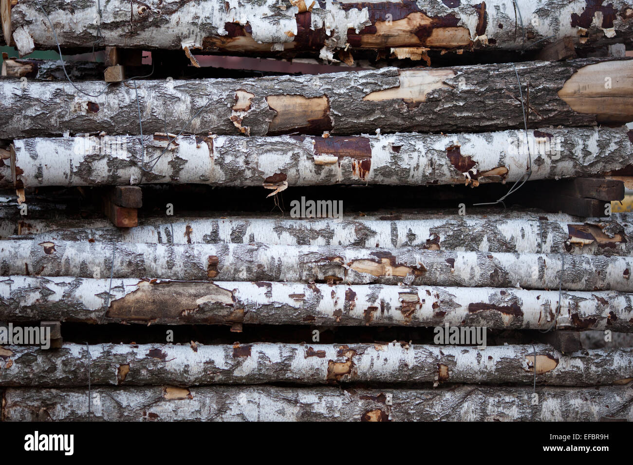 Birch logs hi-res stock photography and images - Alamy