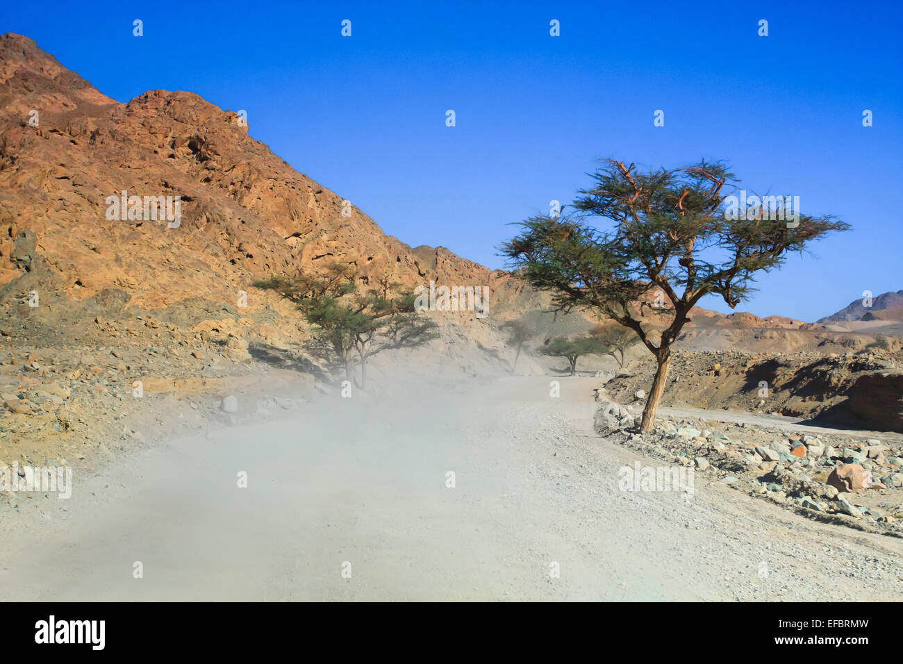 Hot spring egypt hi-res stock photography and images - Alamy