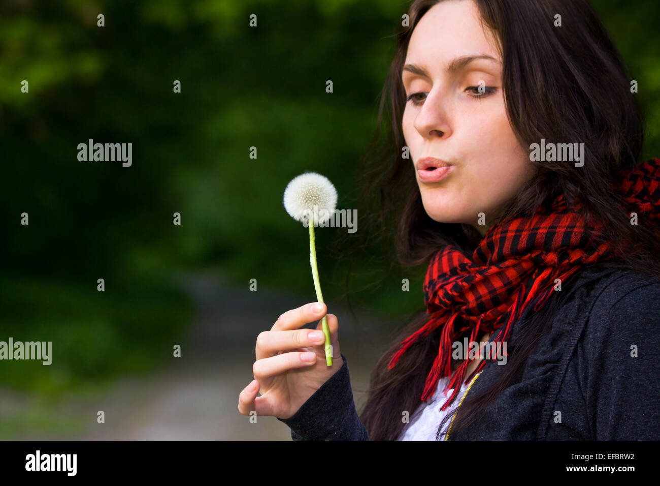 Girl blowing on dandelion Stock Photo - Alamy