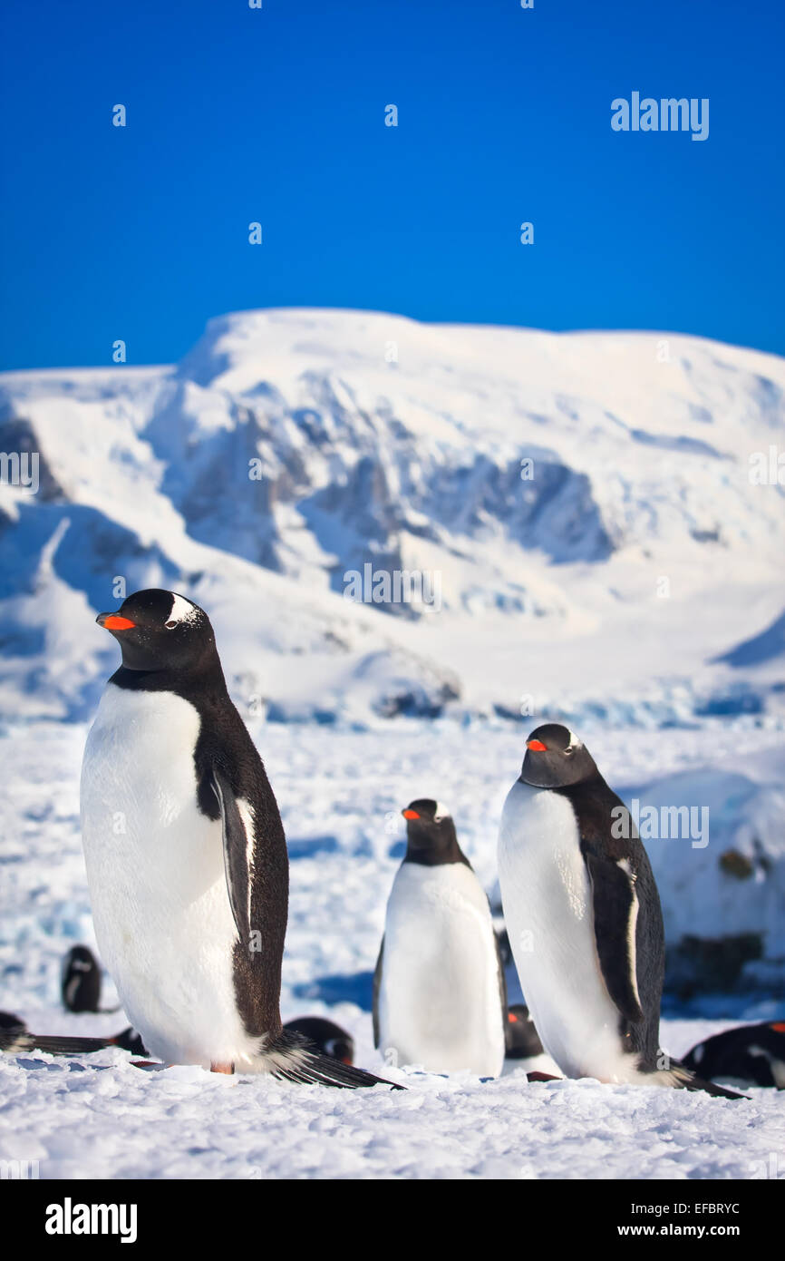 Three climate hi-res stock photography and images - Alamy