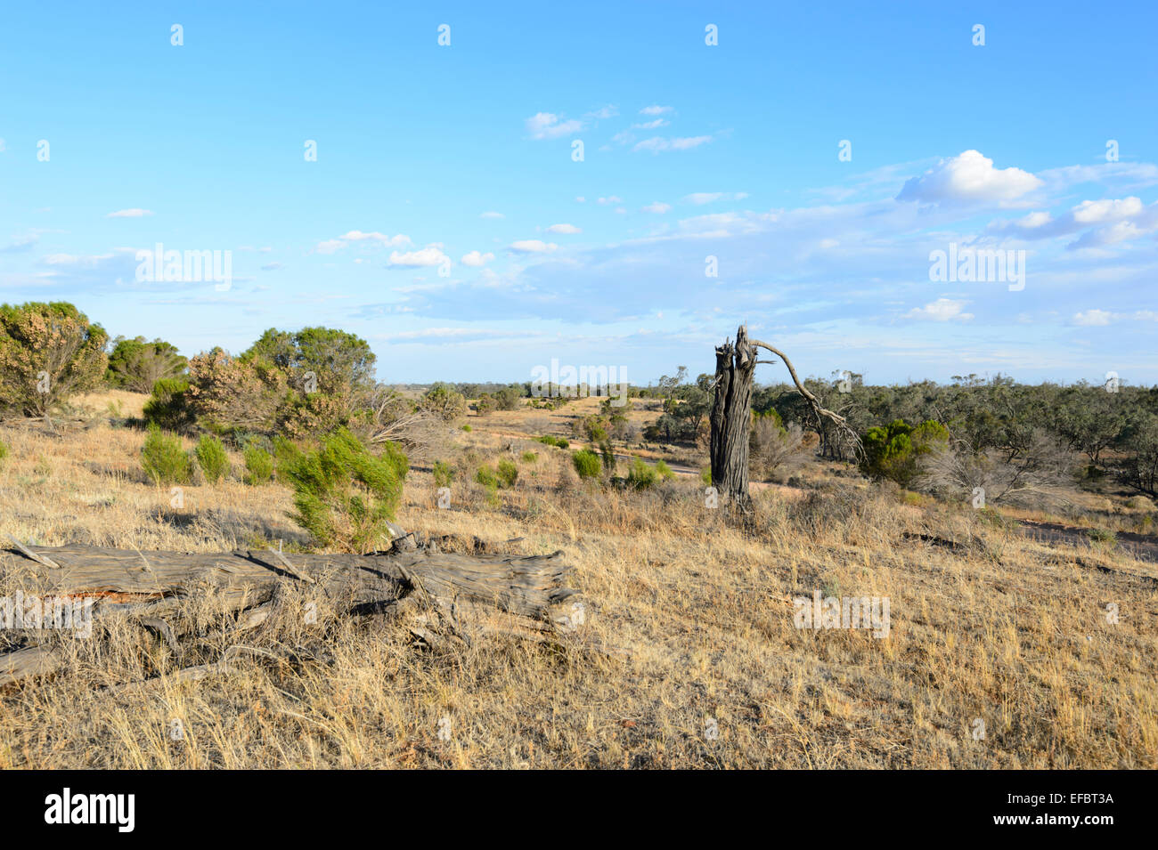 Hattah Kulkyne National Park, Victoria, VIC, Australia Stock Photo - Alamy