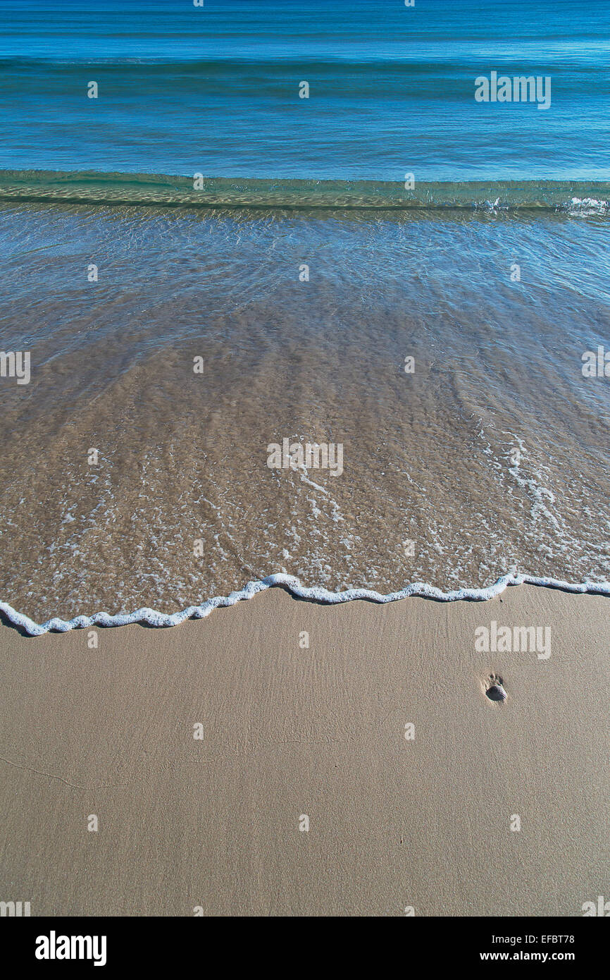 Beach, wave washing ashore- Vertical, Shell Stock Photo - Alamy