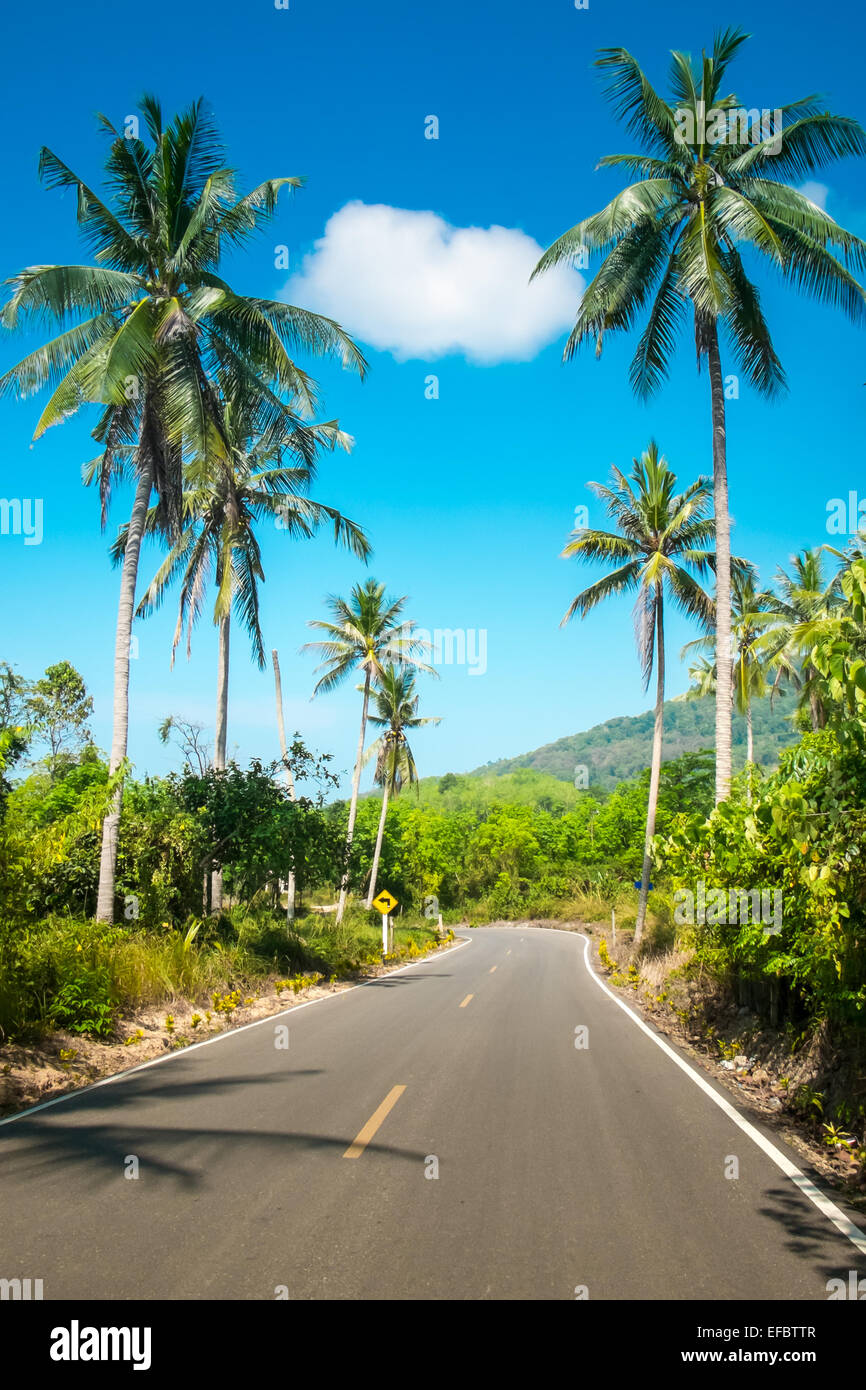 Nice asphalt road with palm trees Stock Photo - Alamy