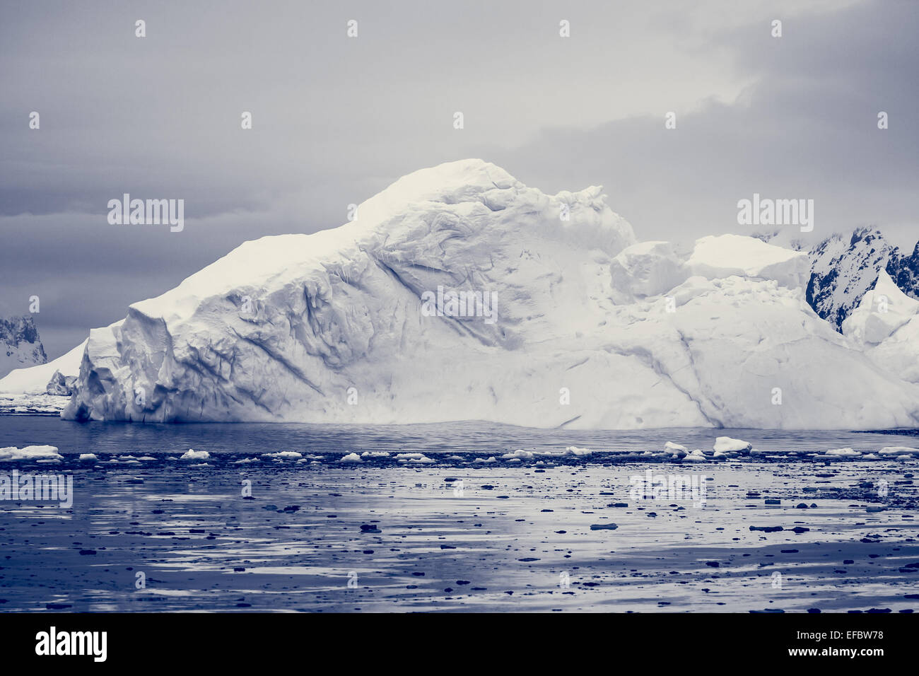 Large hollow log hi-res stock photography and images - Alamy