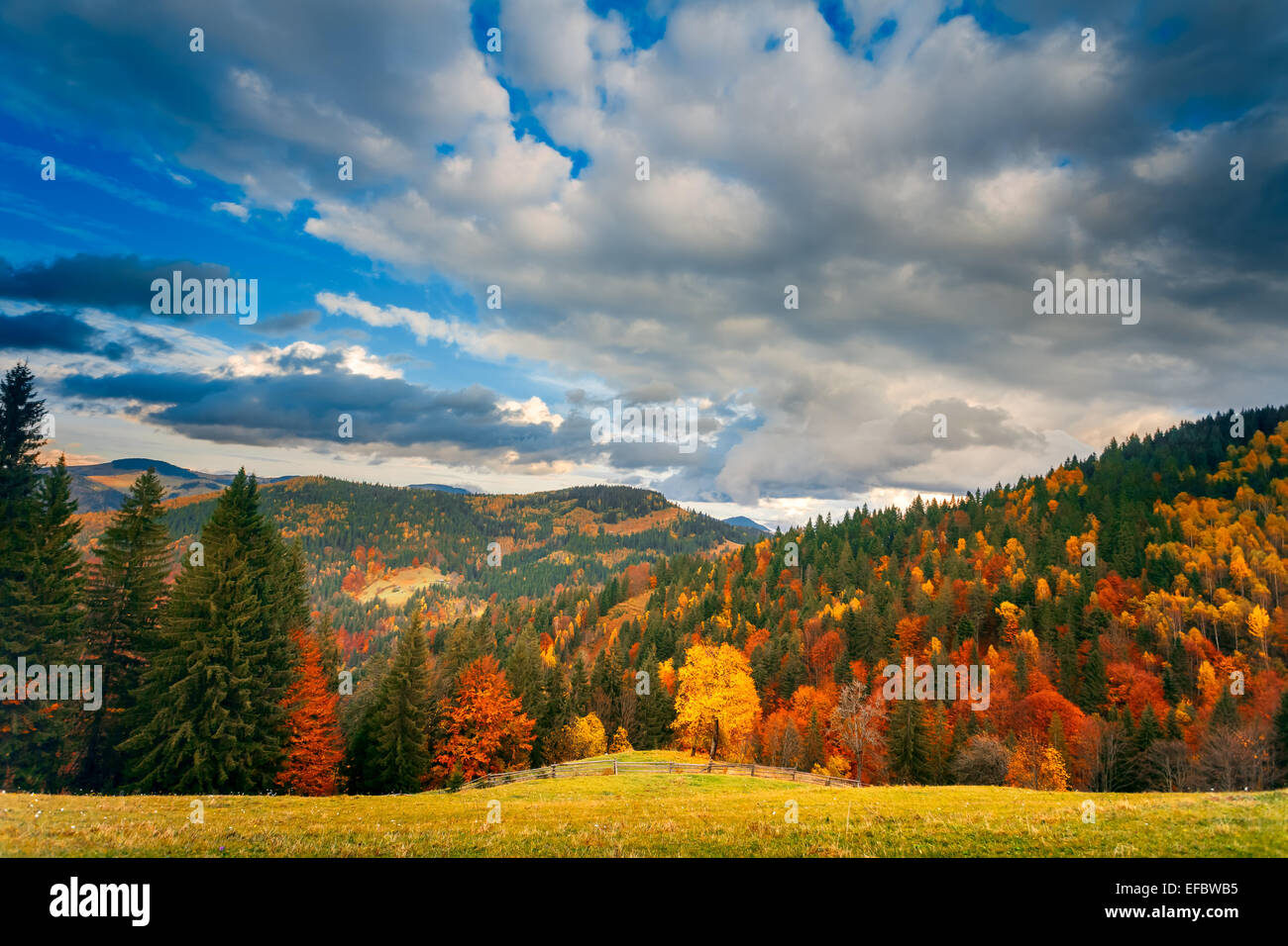 Beautiful view autumn garden colorful hi-res stock photography and ...