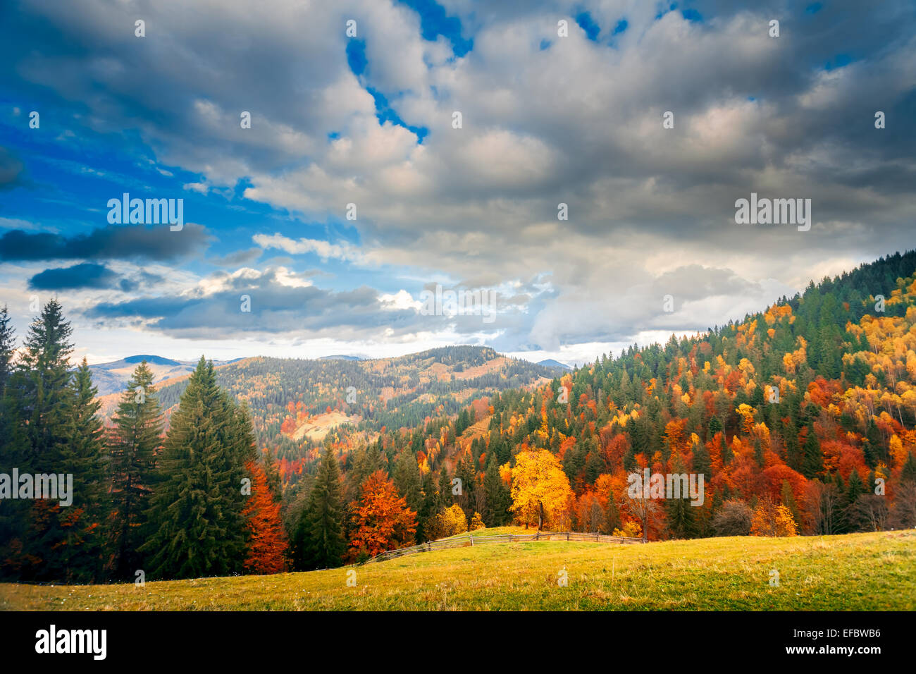Beautiful autumn landscape bright hi-res stock photography and images ...