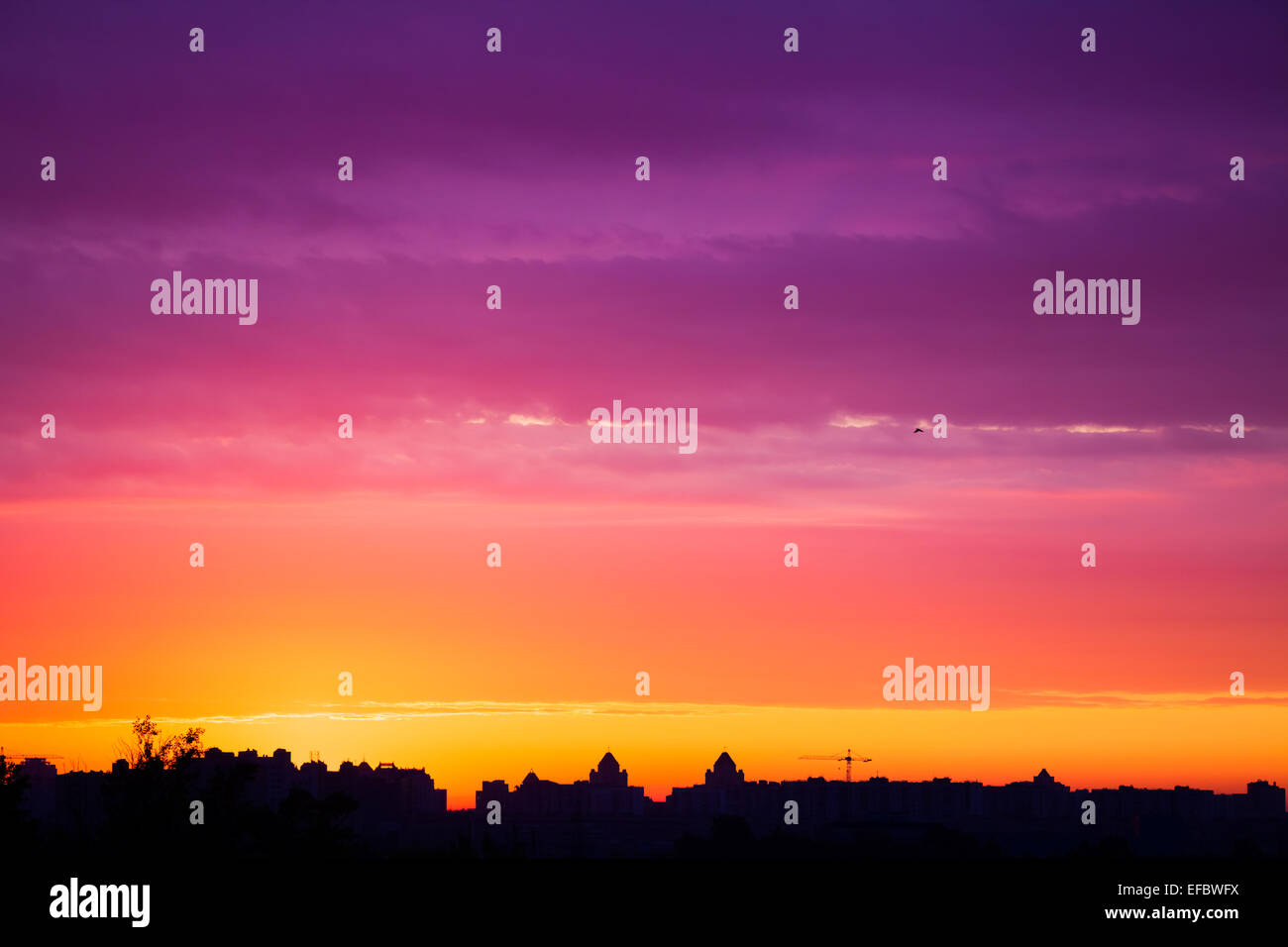 summer sunrise Stock Photo - Alamy