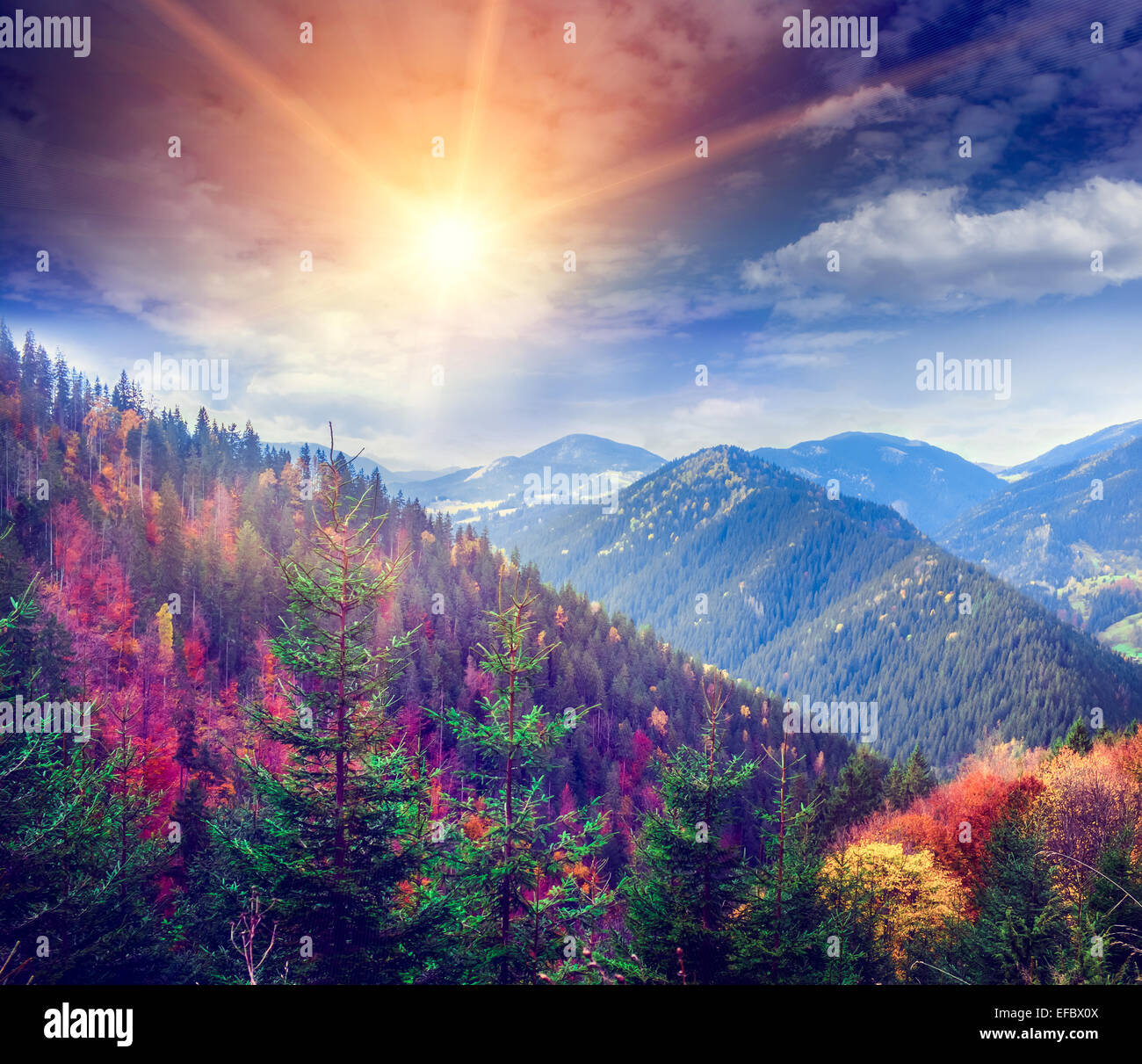 Majestic colorful forest Stock Photo - Alamy