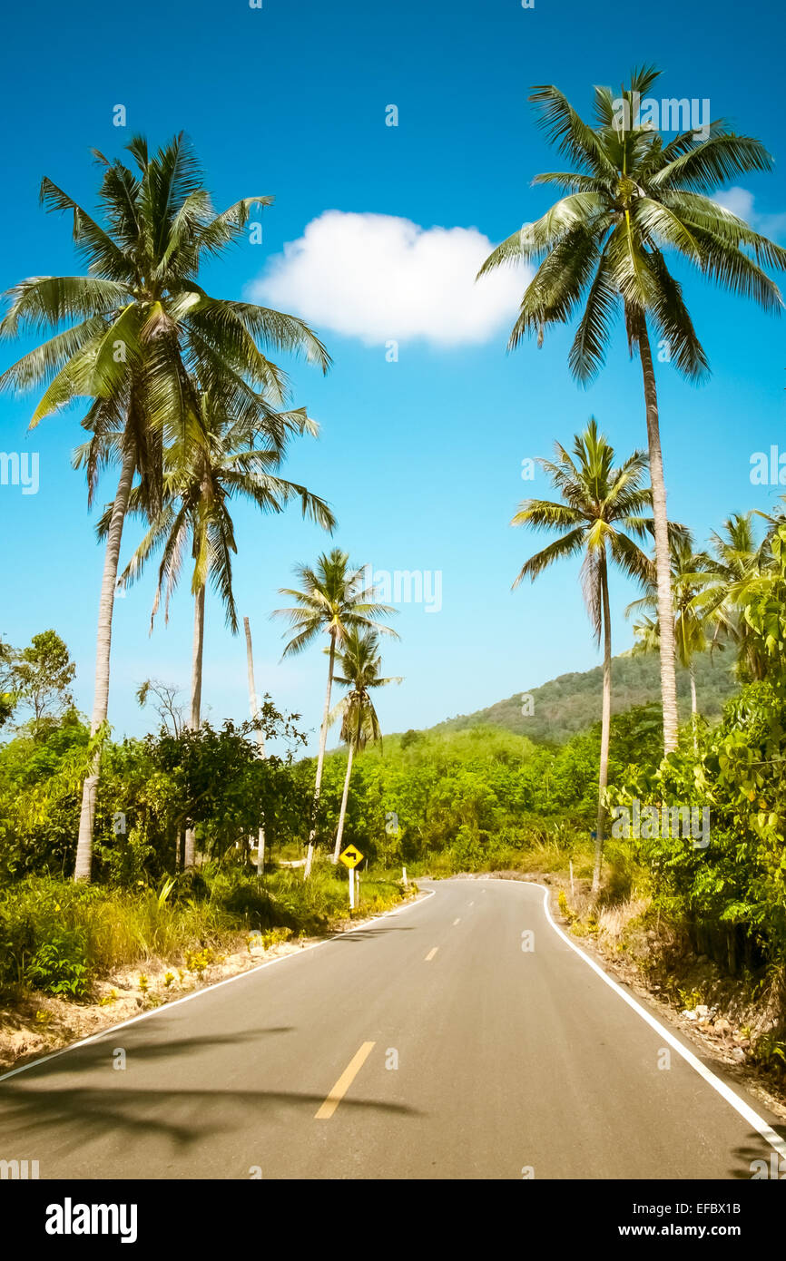 Nice asphalt road with palm trees Stock Photo - Alamy