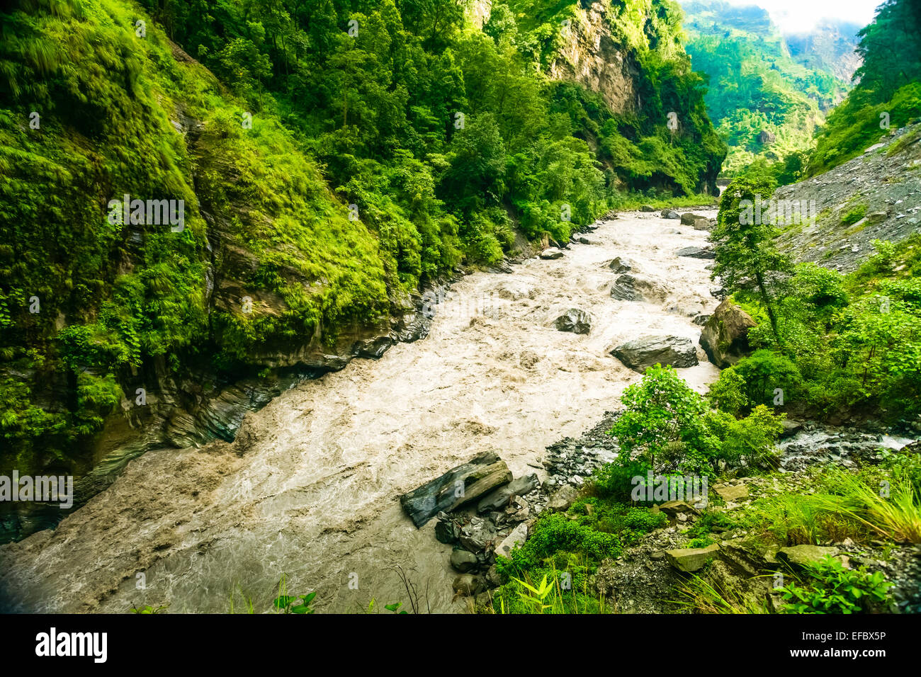 Beautiful Asian landscape Stock Photo - Alamy