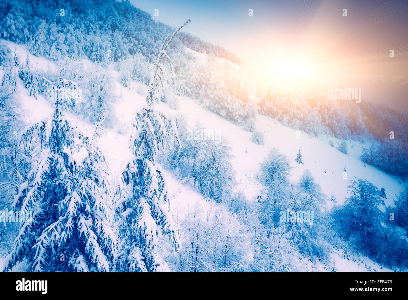 Amazing evening winter landscape Stock Photo - Alamy