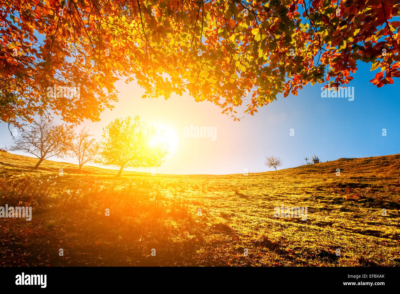 Colorful autumn landscape Stock Photo - Alamy