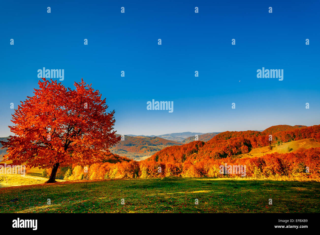 Colorful autumn landscape Stock Photo - Alamy