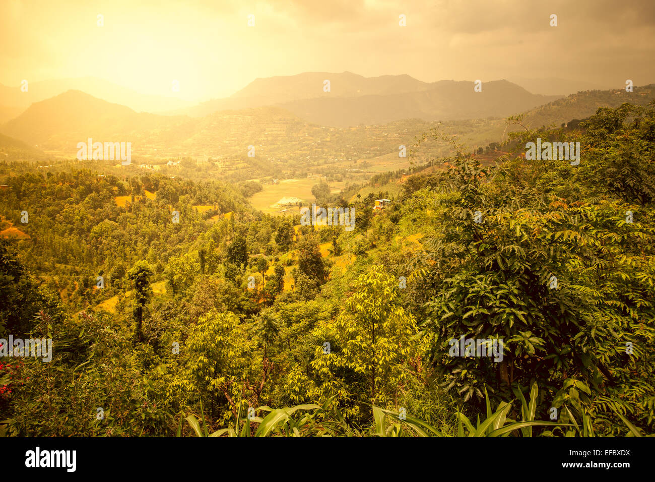 Beautiful Asian landscape Stock Photo - Alamy