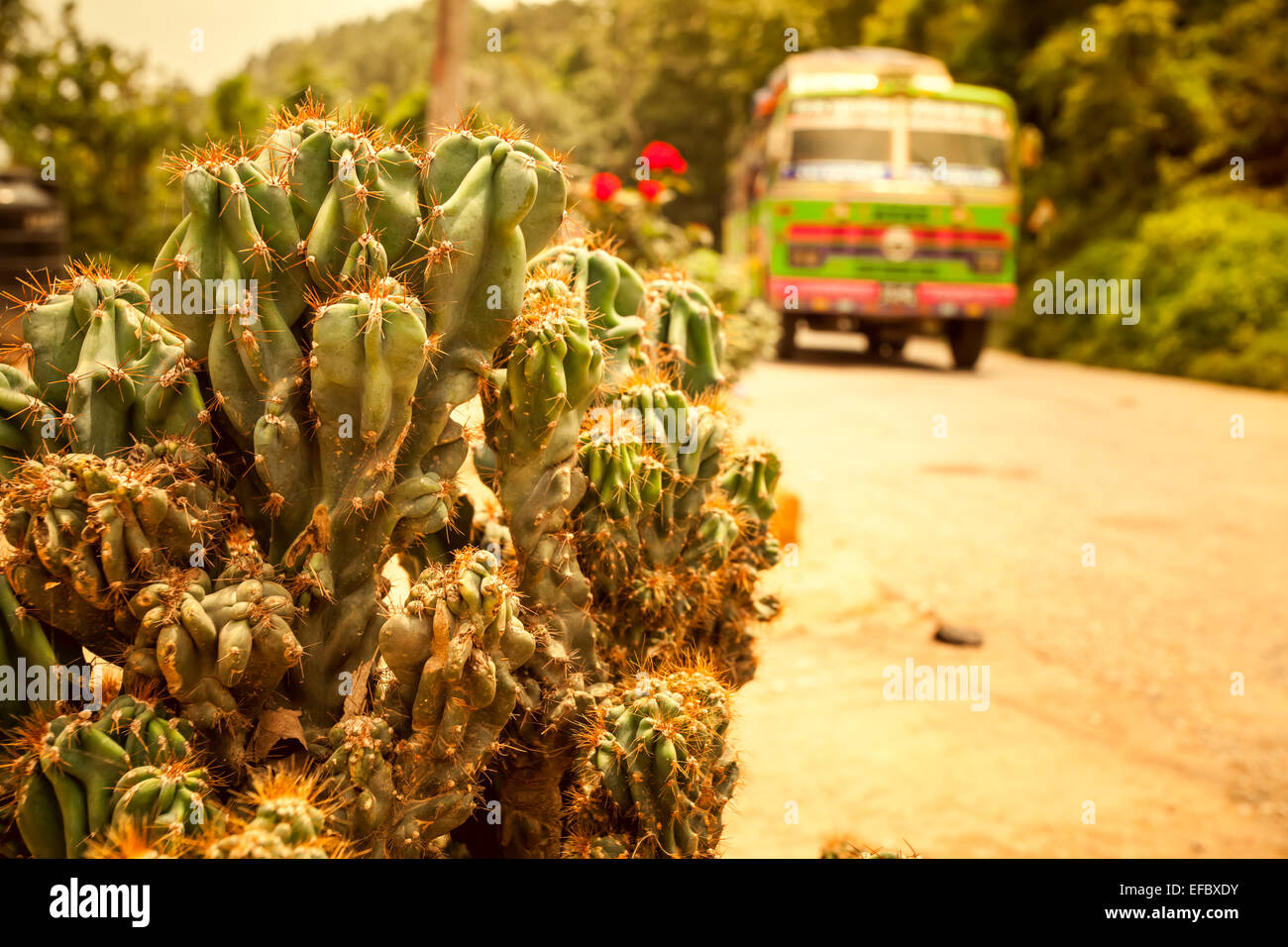 Beautiful Asian landscape Stock Photo - Alamy