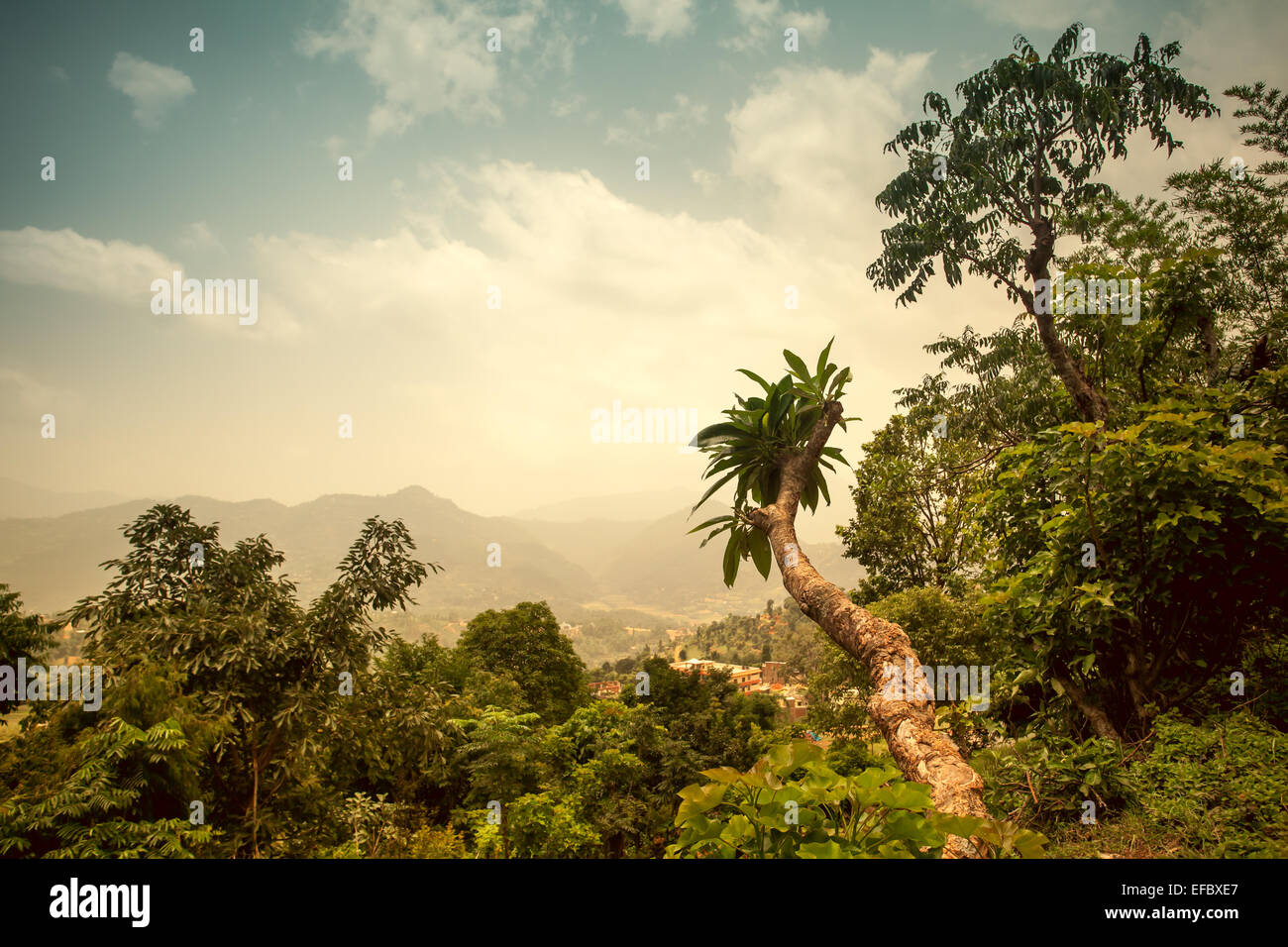 Beautiful Asian landscape Stock Photo - Alamy