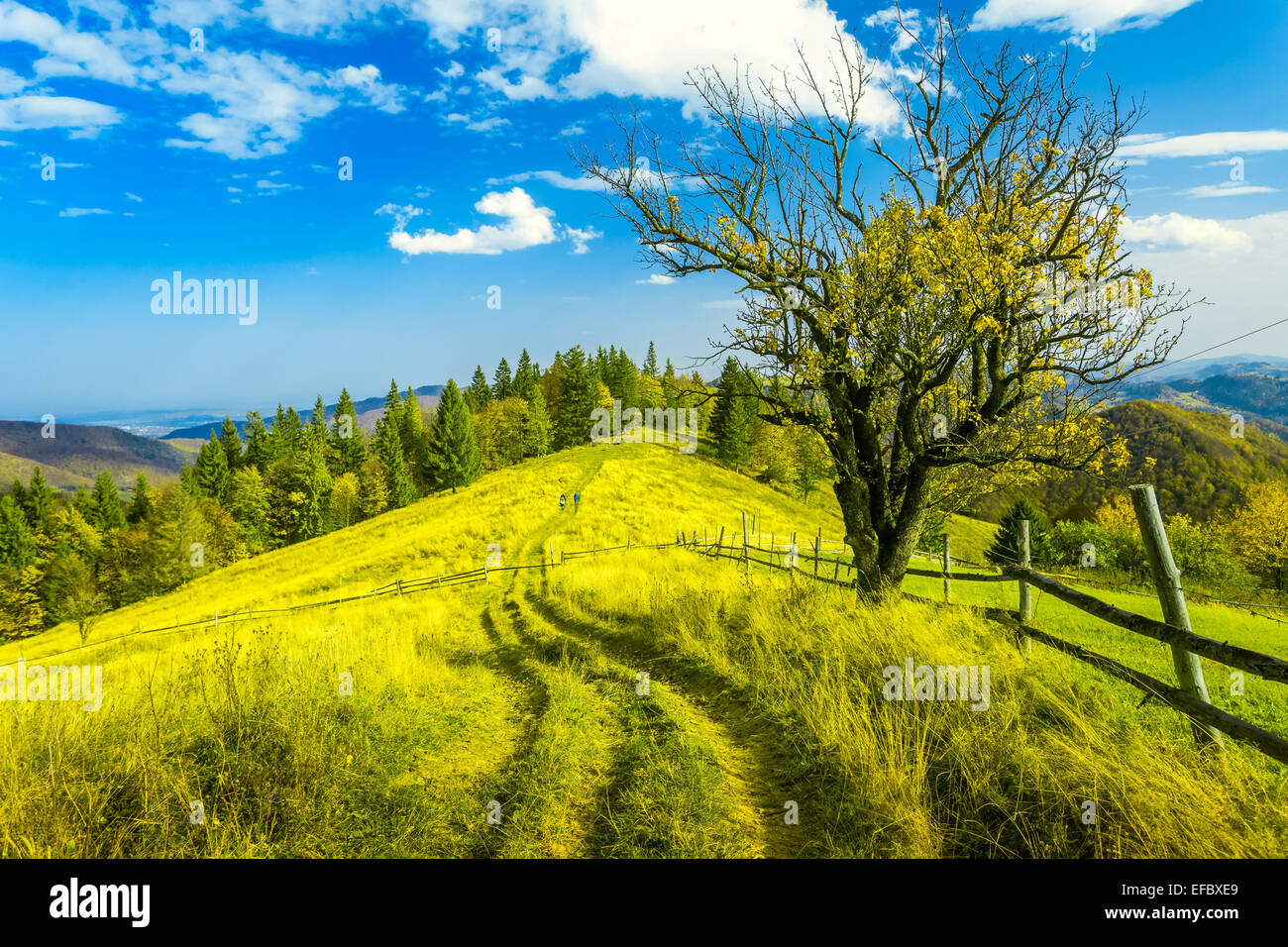 Fantastic sunny hills Stock Photo - Alamy