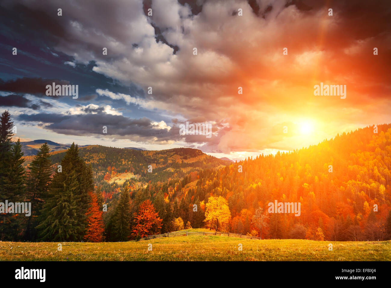 Beautiful autumn landscape bright hi-res stock photography and images ...