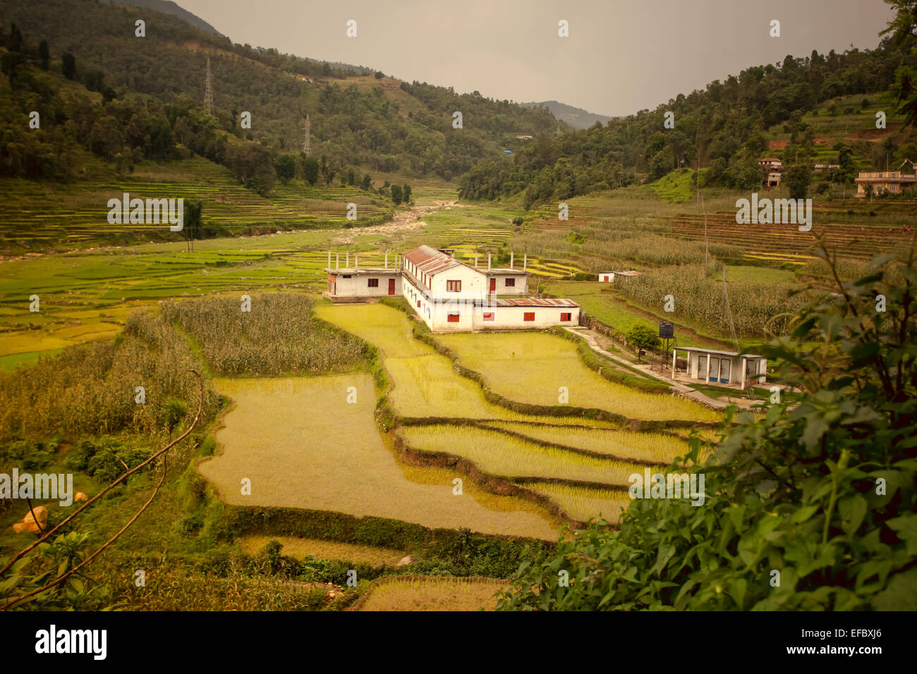 Beautiful Asian landscape Stock Photo - Alamy