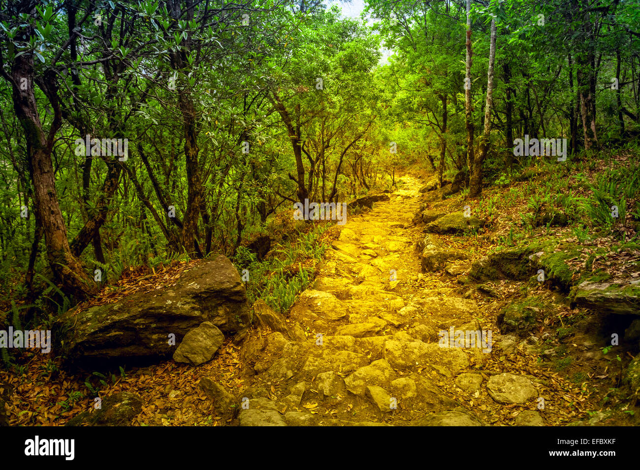 Brown pathway hi-res stock photography and images - Alamy