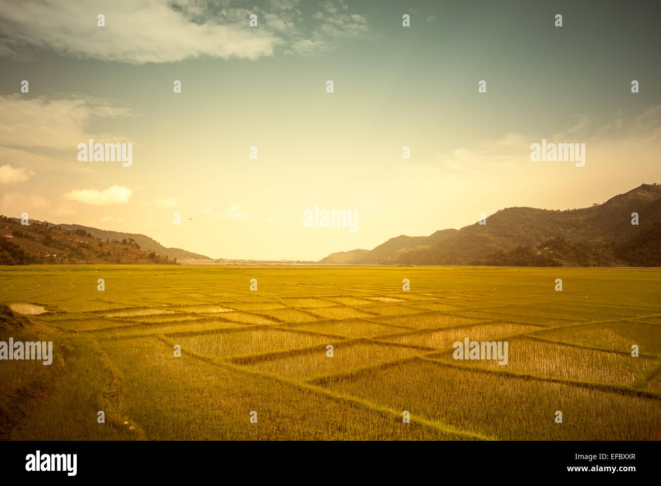 Beautiful Asian landscape Stock Photo - Alamy