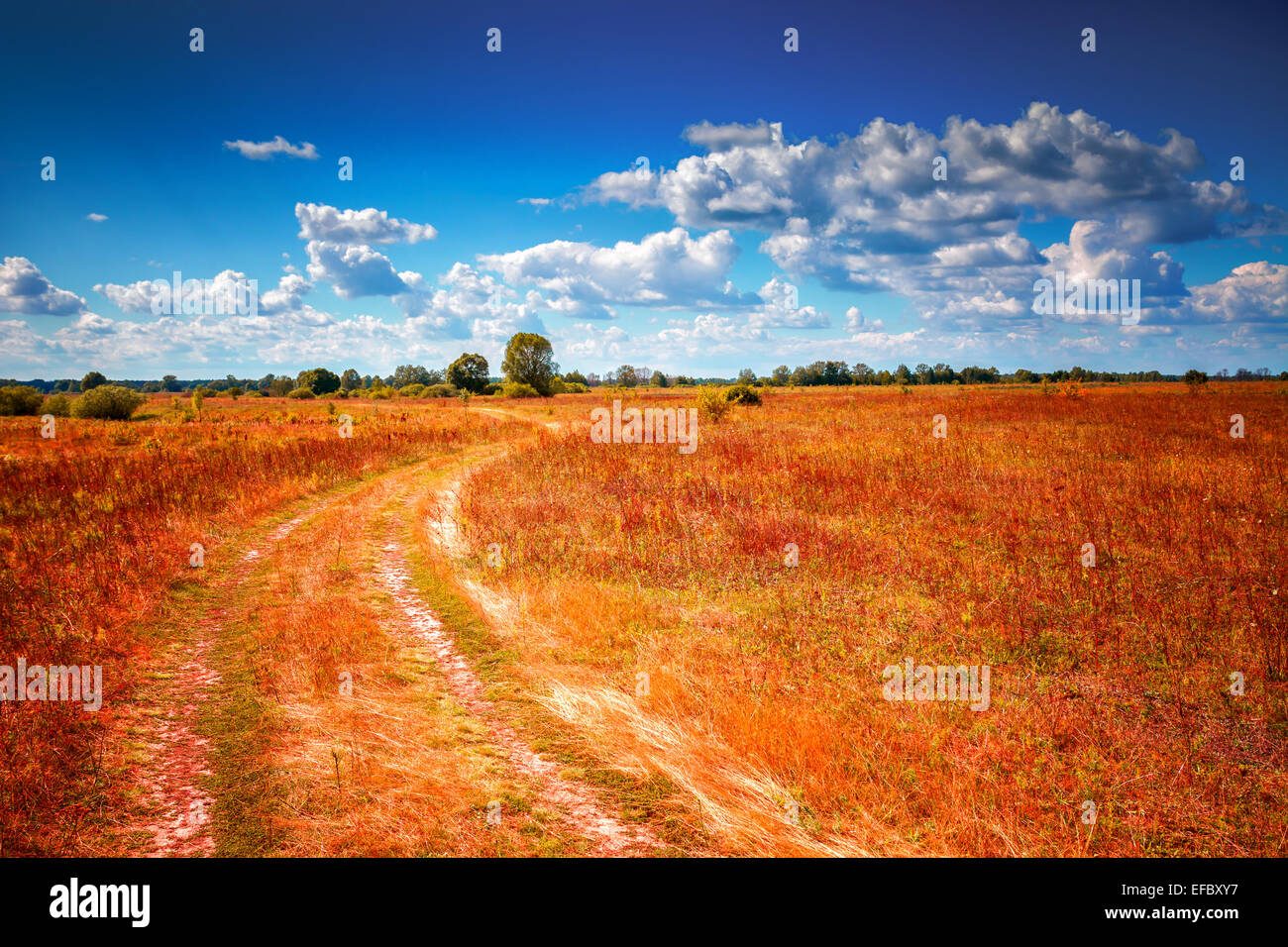 Empty countryside road Stock Photo - Alamy