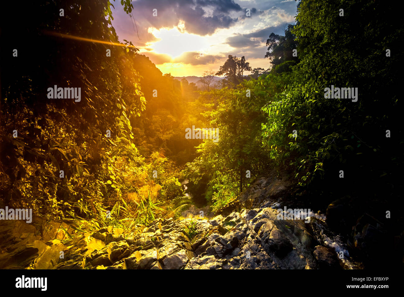 Beautiful summer landscape Stock Photo - Alamy