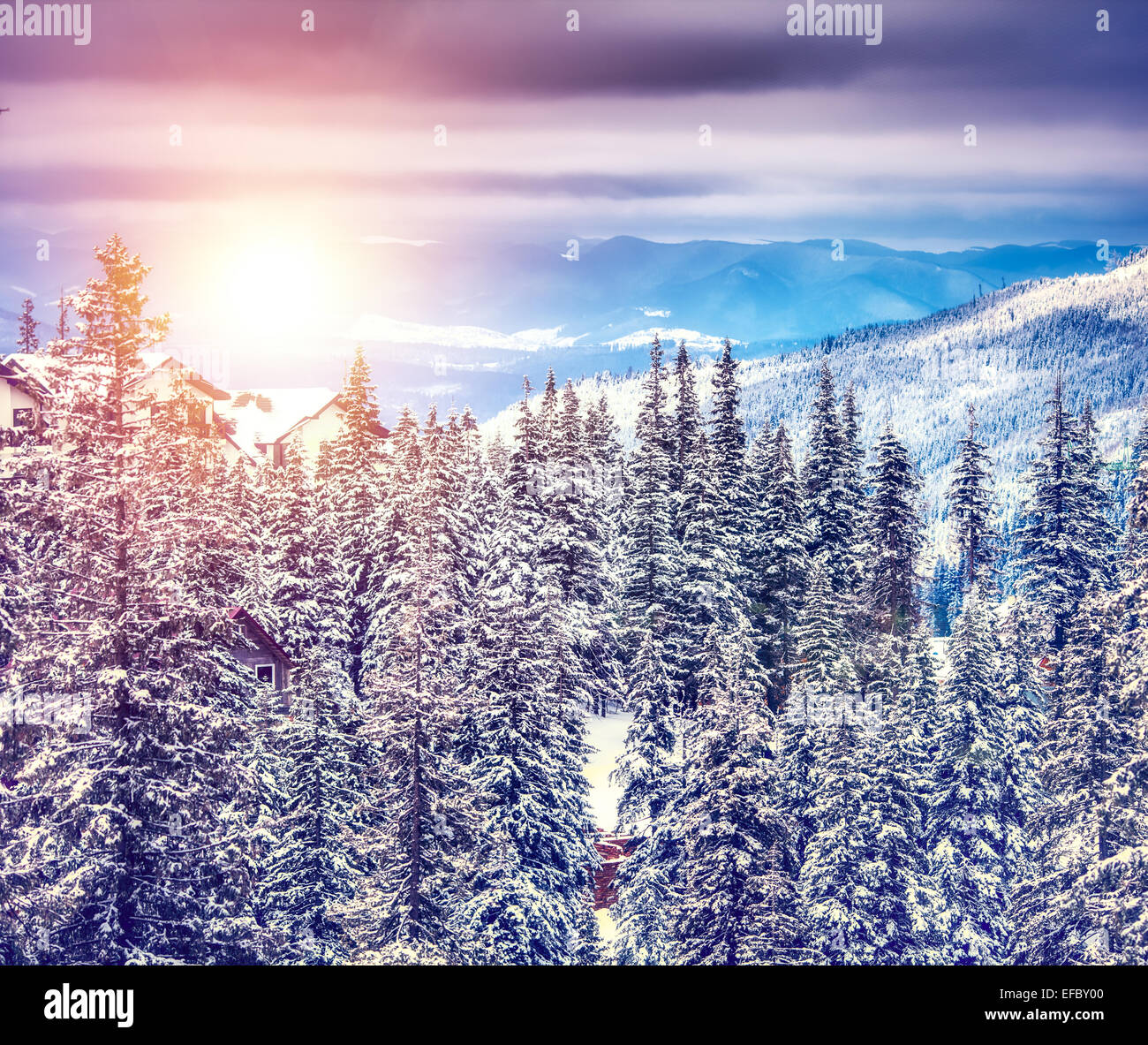 Amazing evening winter landscape Stock Photo - Alamy