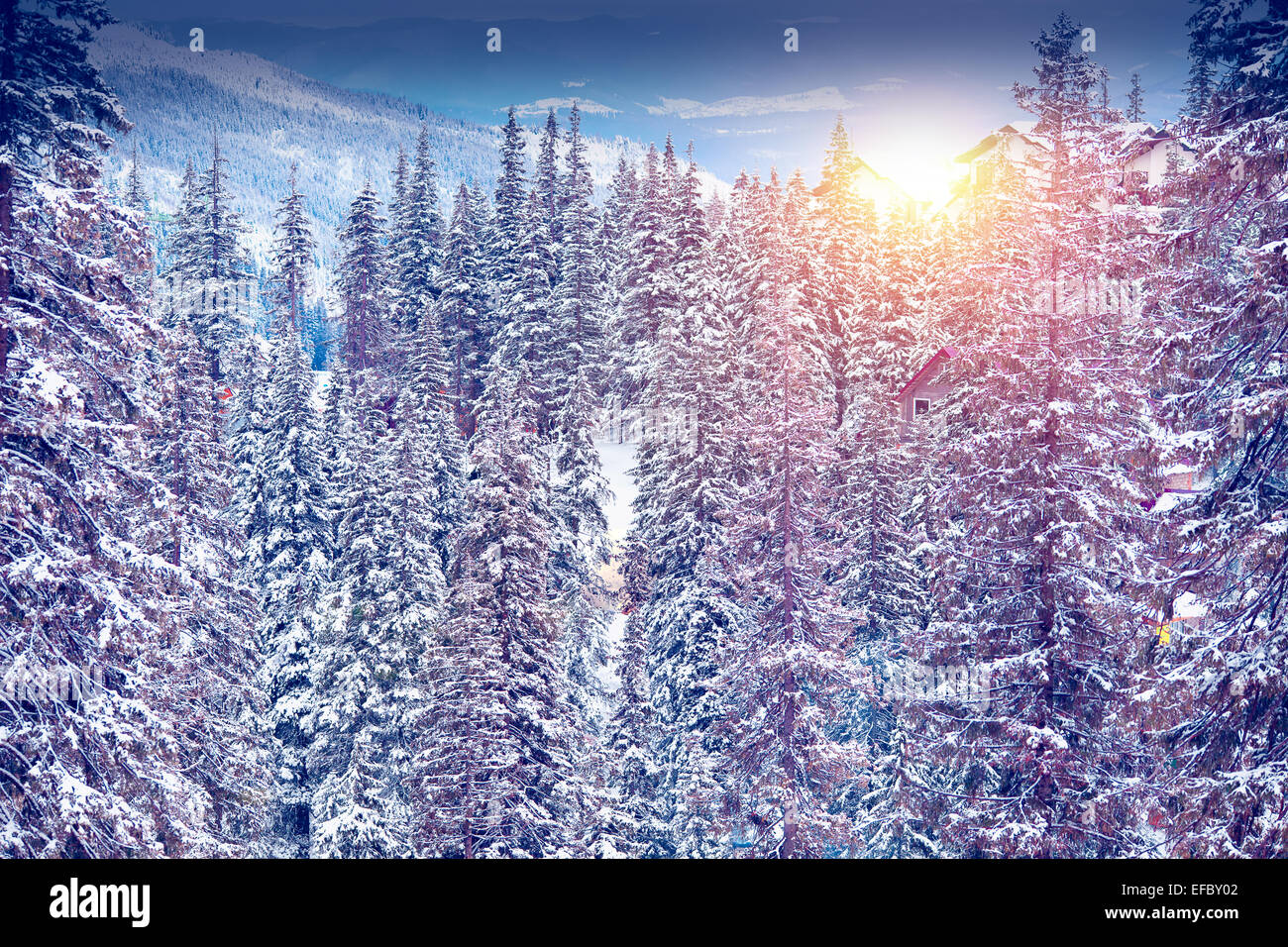 Amazing evening winter landscape Stock Photo - Alamy