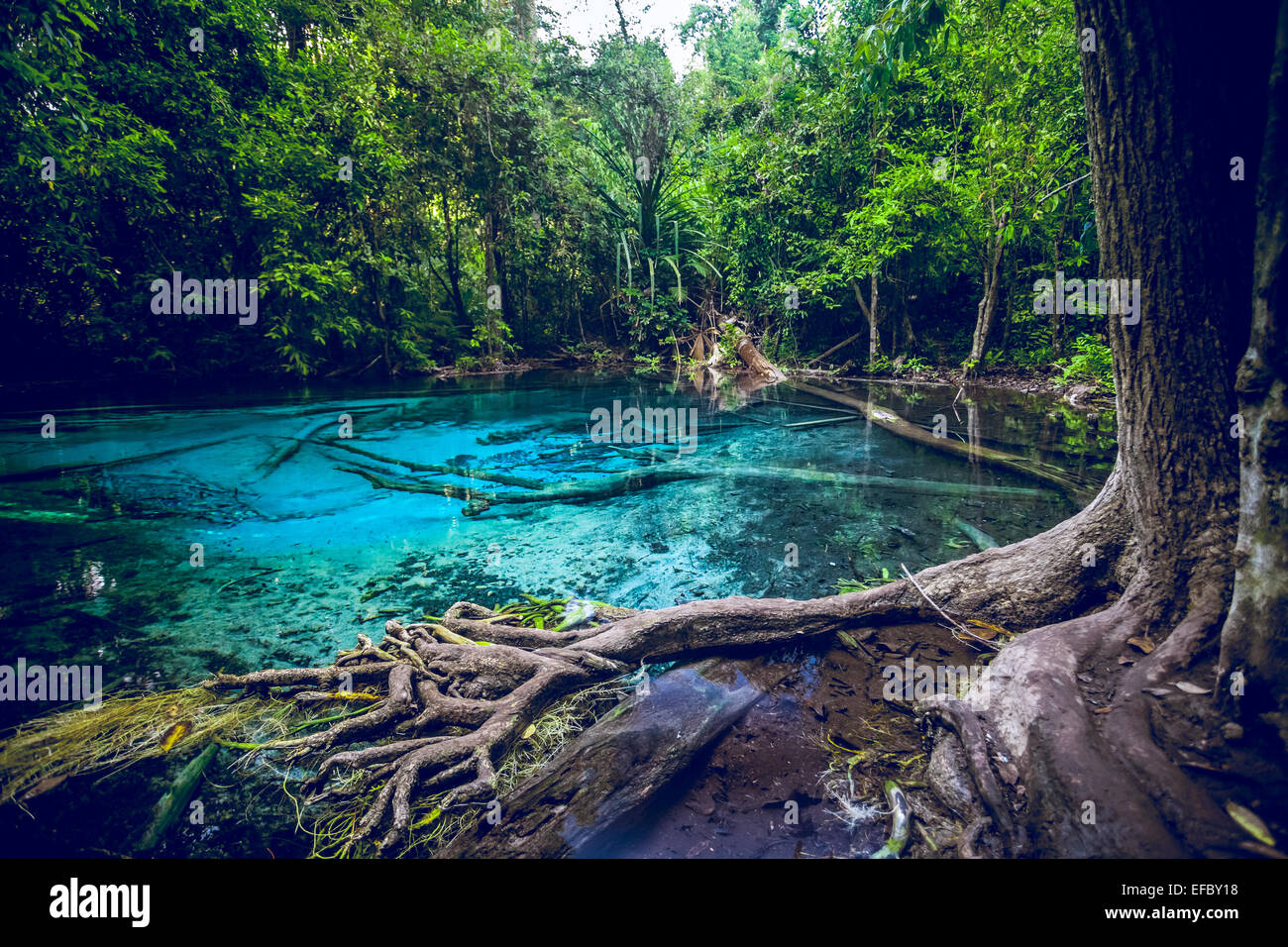 Emerald blue Pool Stock Photo - Alamy