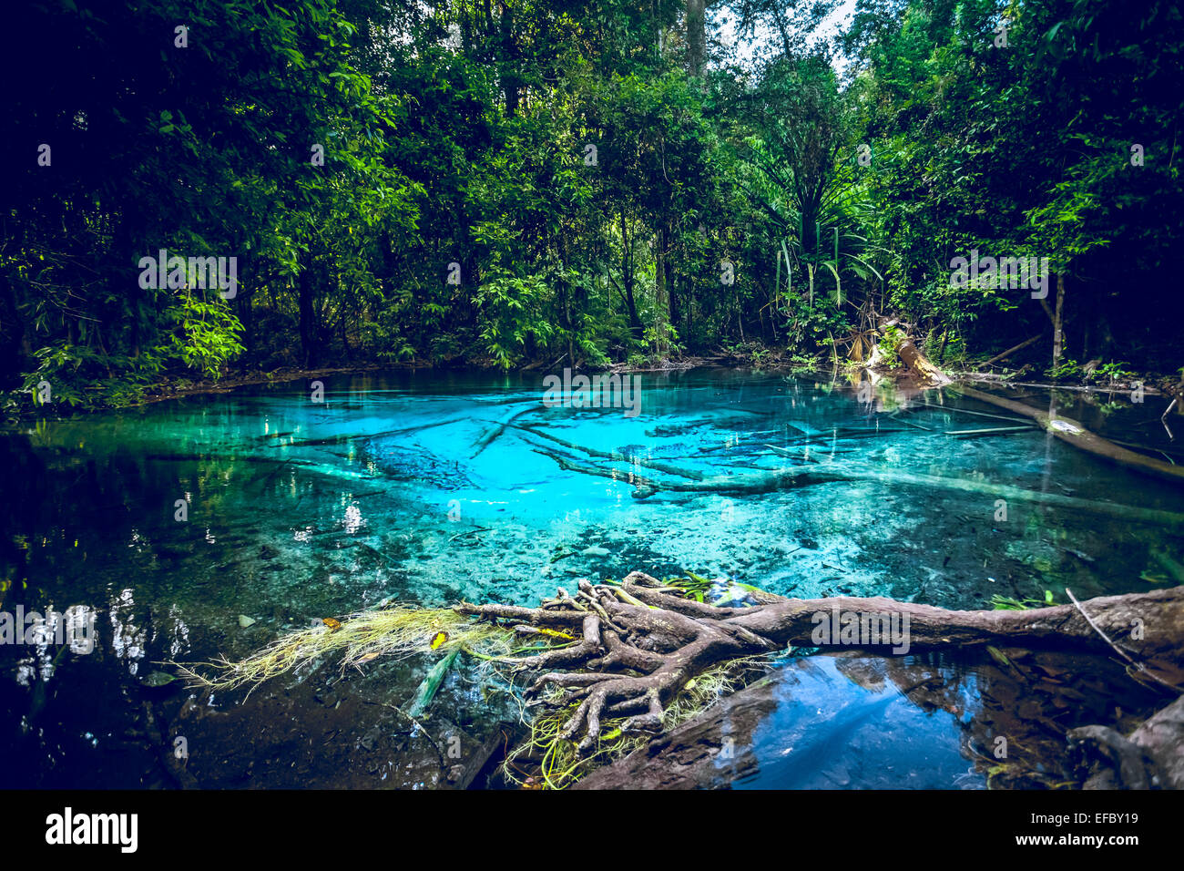 Emerald blue Pool Stock Photo - Alamy