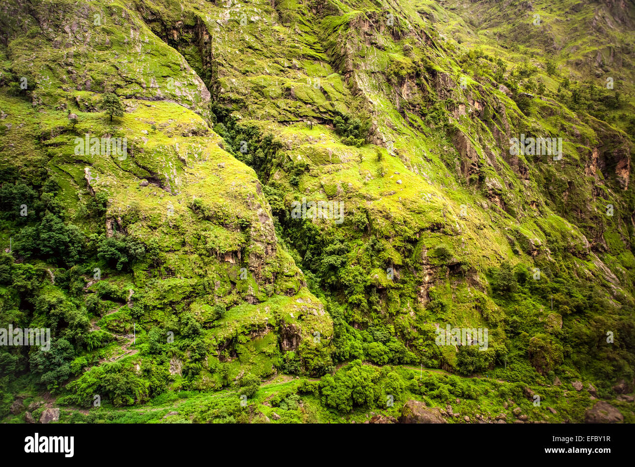 Beautiful Asian landscape Stock Photo - Alamy
