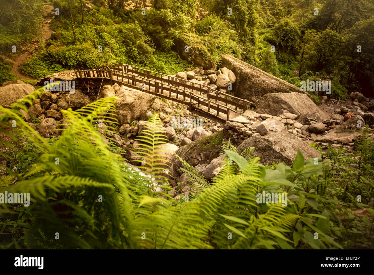 Beautiful Asian landscape Stock Photo - Alamy
