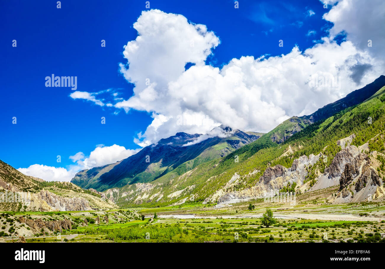 Beautiful Asian landscape Stock Photo - Alamy