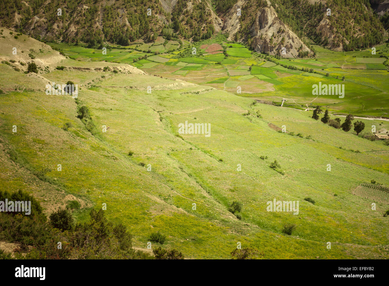 Beautiful Asian landscape Stock Photo - Alamy