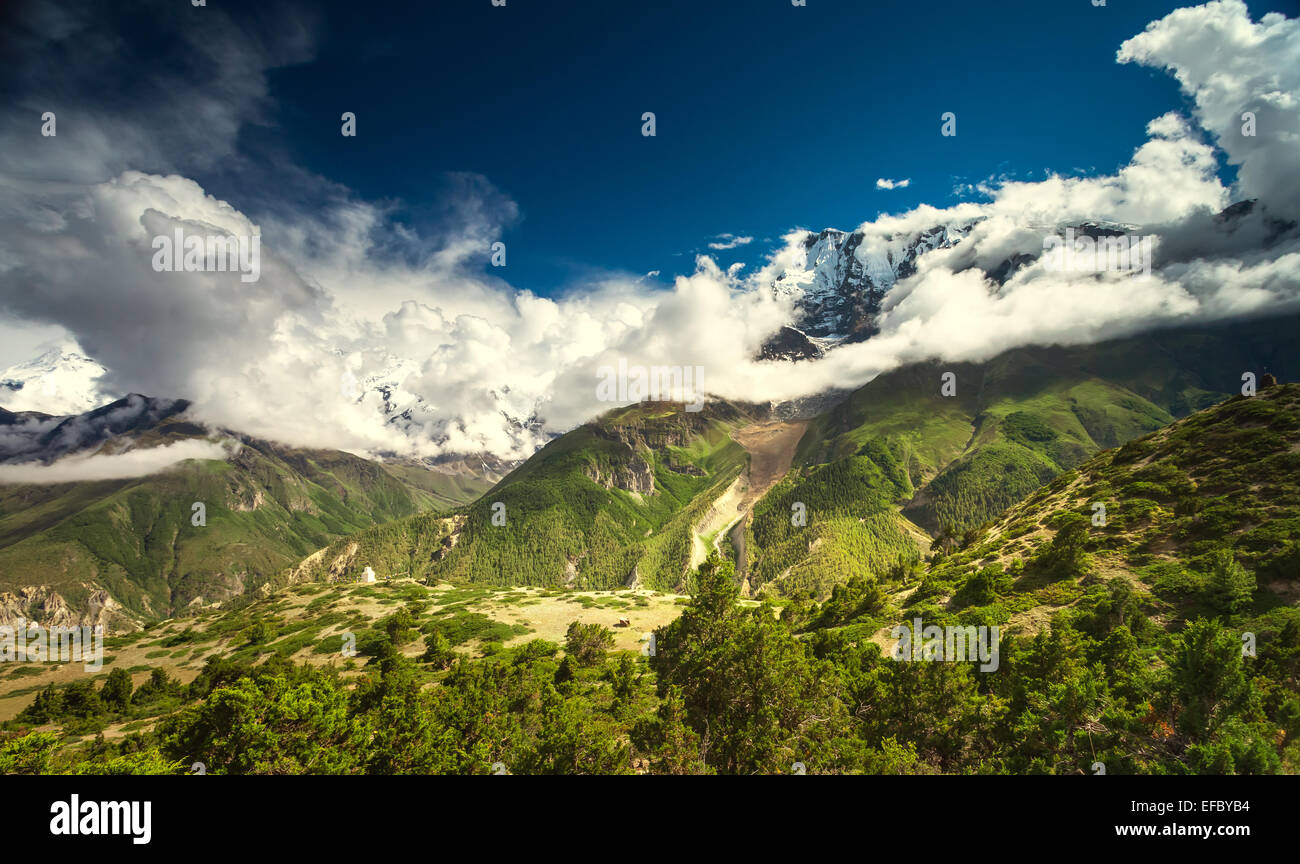 Beautiful Asian landscape Stock Photo - Alamy