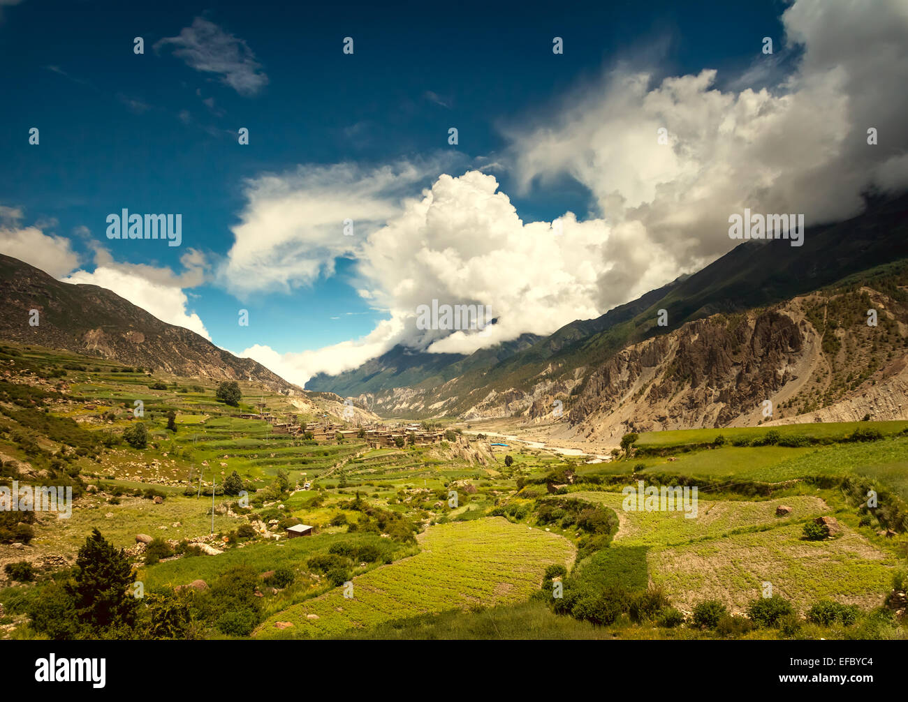 Beautiful Asian landscape Stock Photo - Alamy