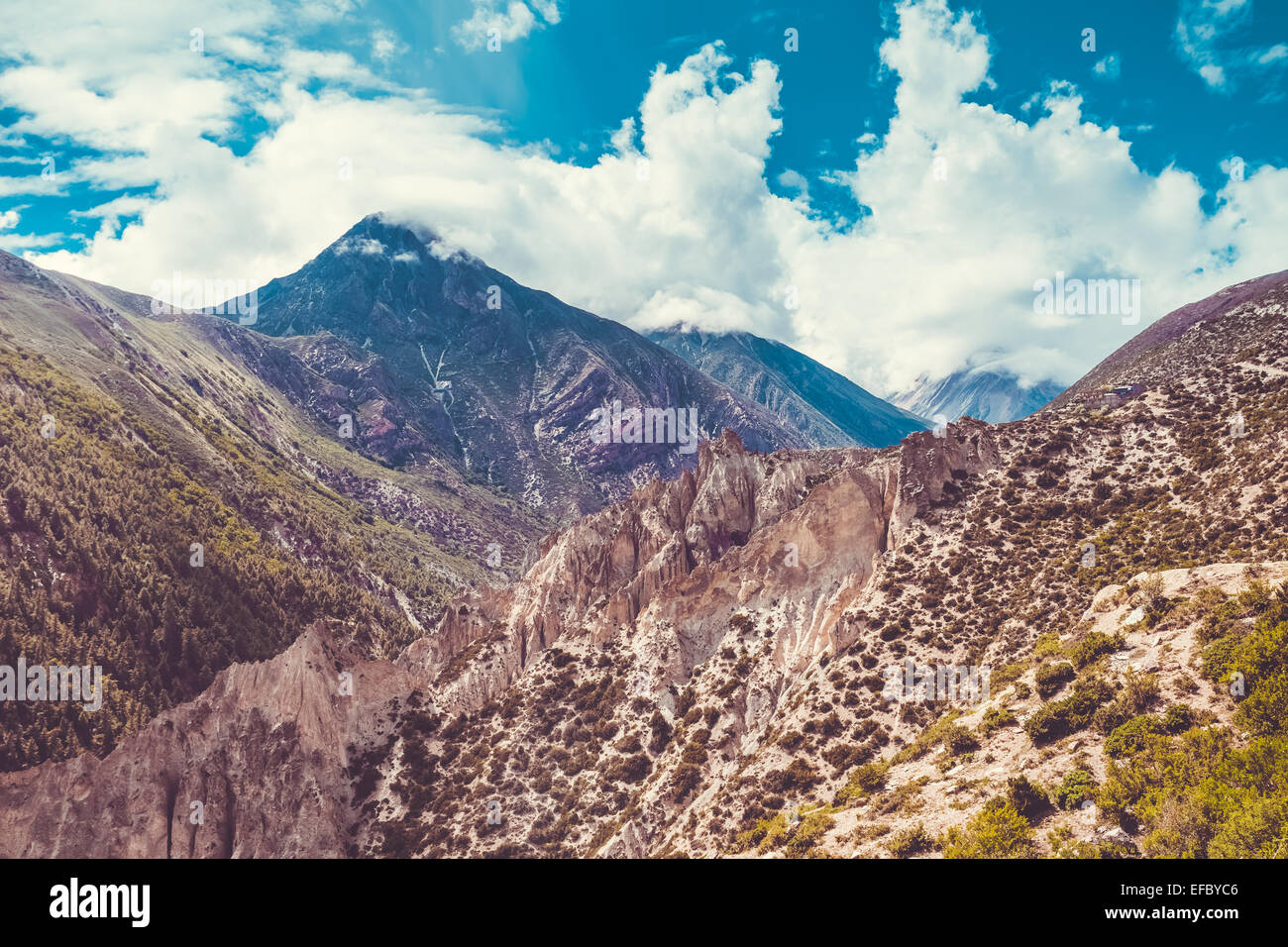 Beautiful Asian landscape Stock Photo - Alamy