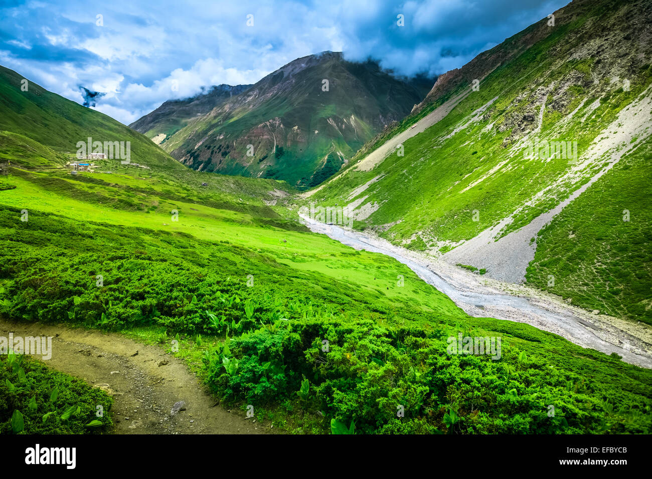 Beautiful Asian landscape Stock Photo - Alamy