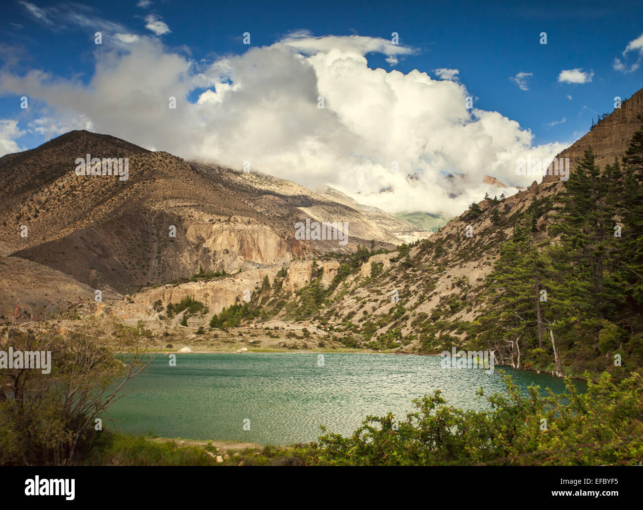 Beautiful Asian landscape Stock Photo - Alamy