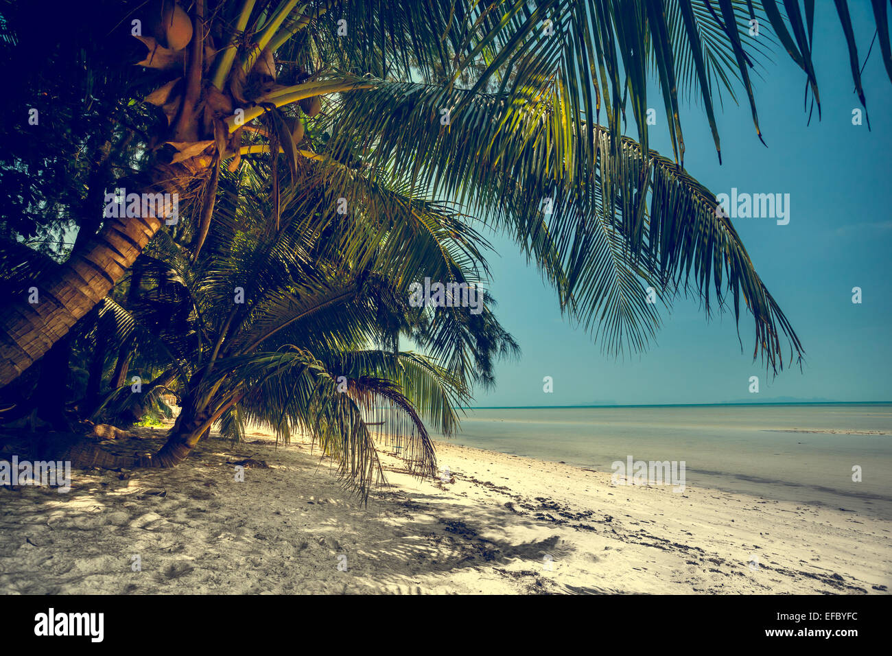Beautiful summer landscape Stock Photo - Alamy