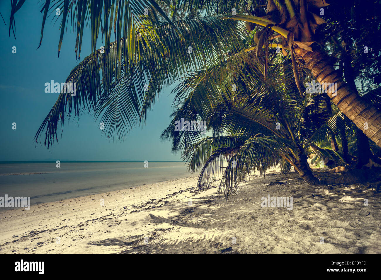 Beautiful summer landscape Stock Photo - Alamy