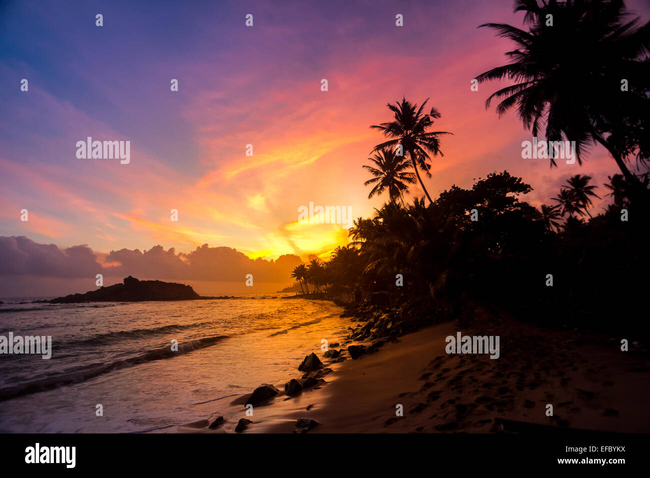 Bounty tropical paradise beach palm hi-res stock photography and images ...