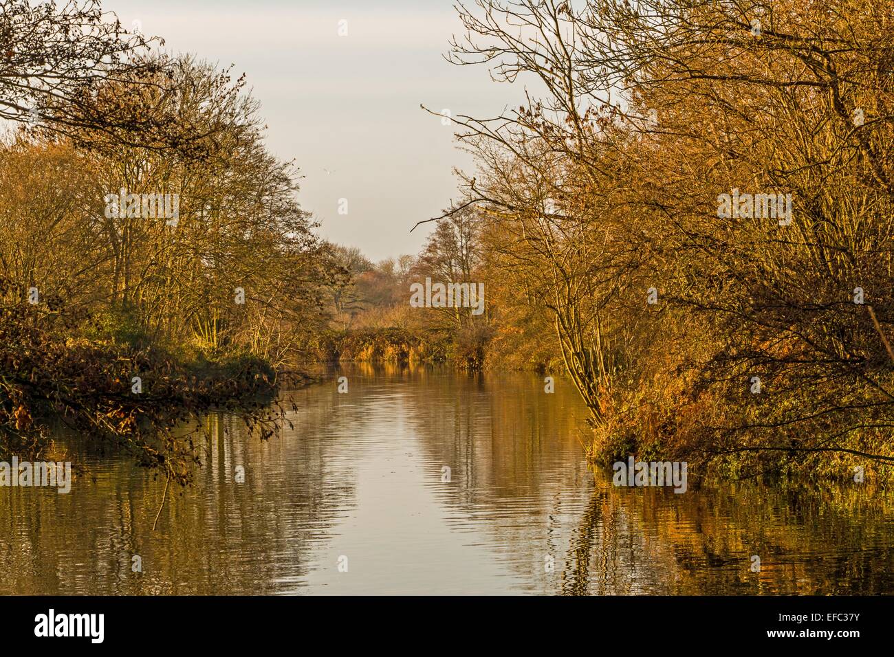 Yalding hi-res stock photography and images - Alamy