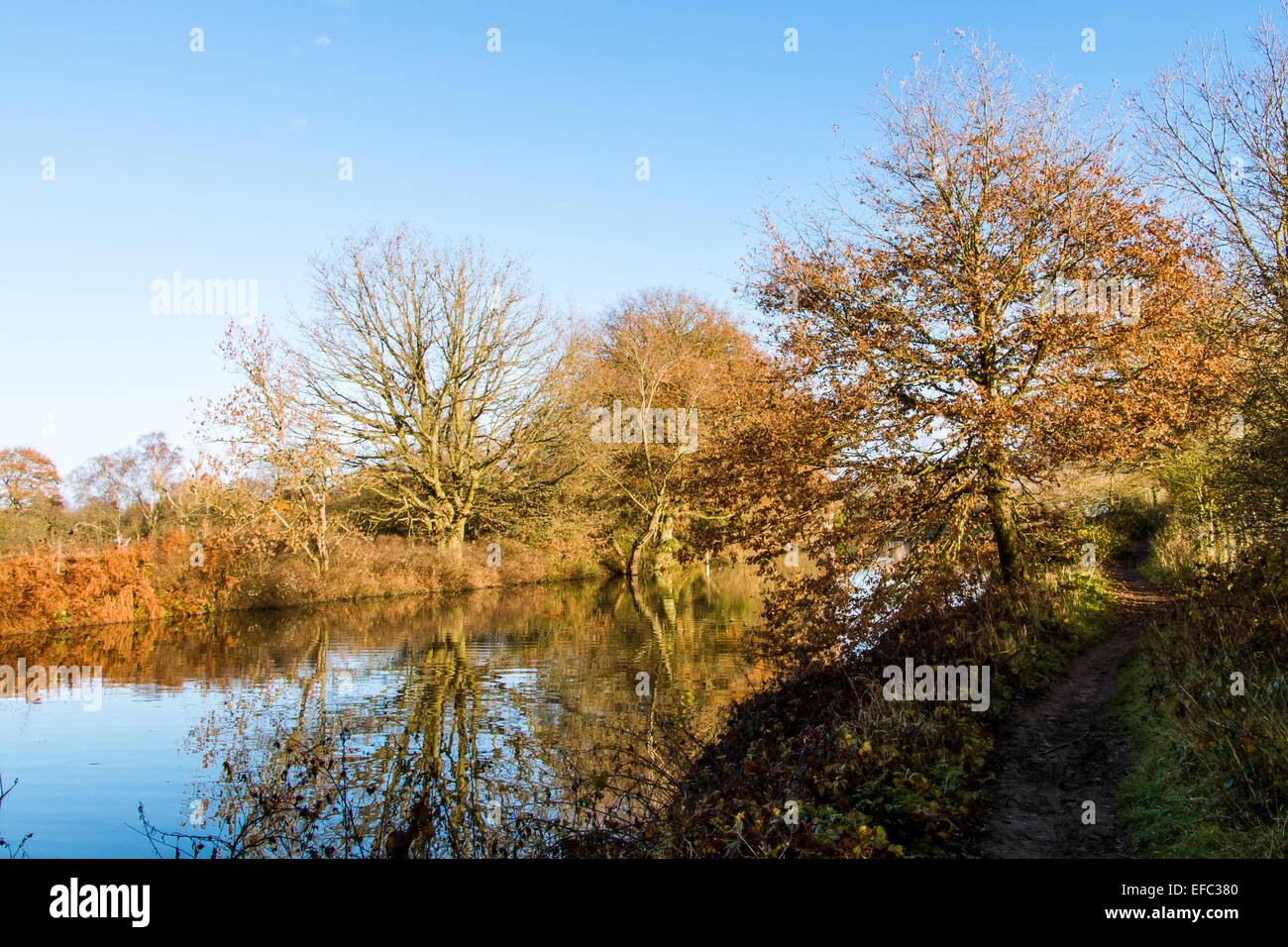 Trees reflecting in the Medway at Yalding in Kent Stock Photo - Alamy