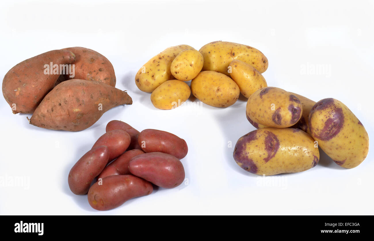 four varieties of potatoes on the background Stock Photo - Alamy