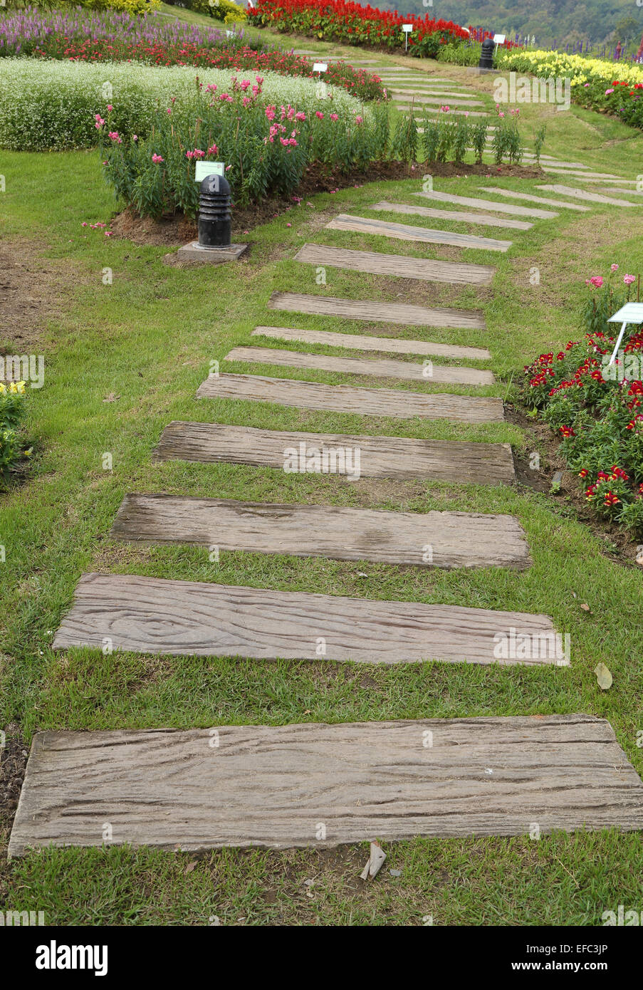 pathway in the garden Stock Photo - Alamy