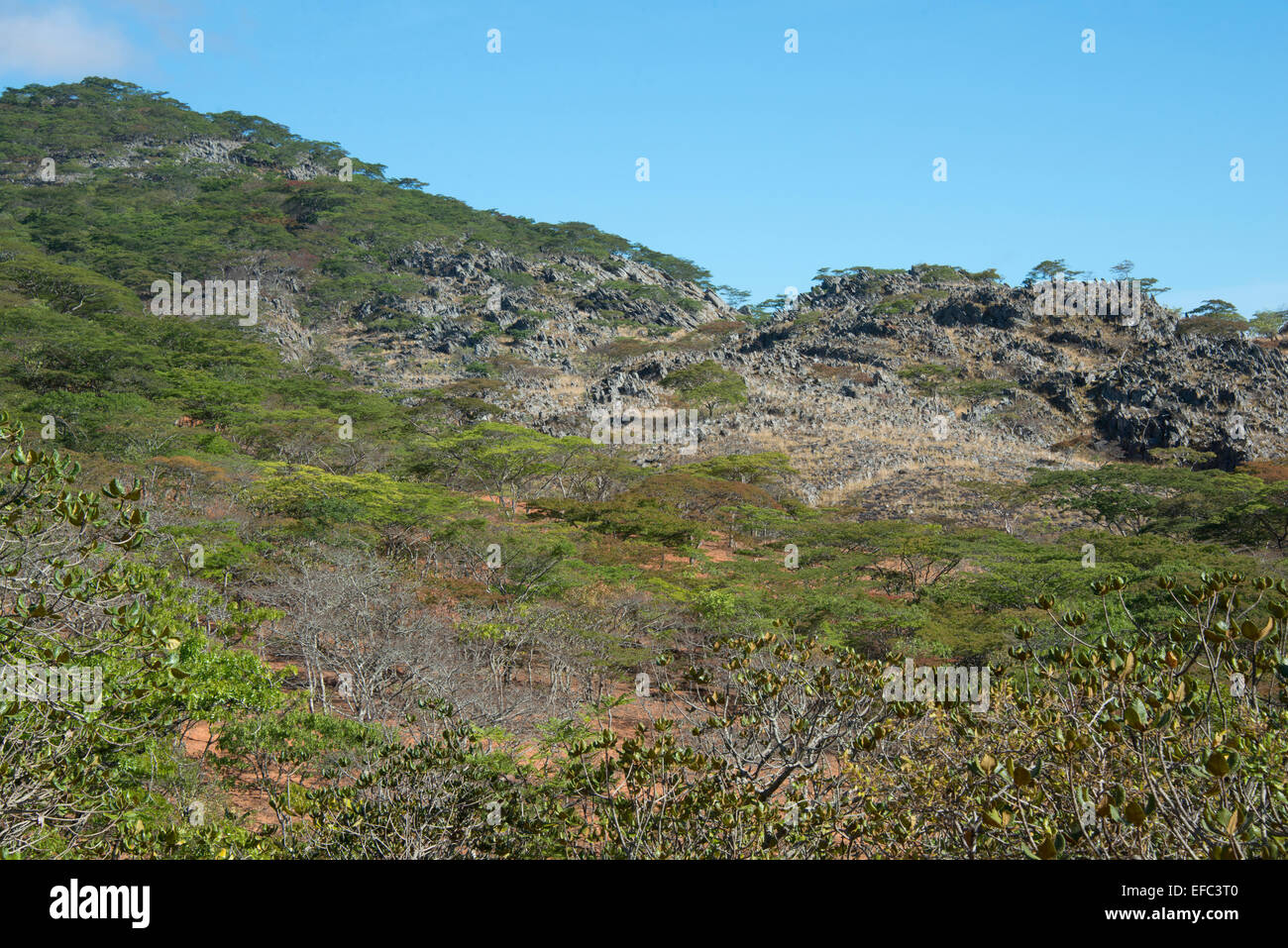 Nyanga Mountains High Resolution Stock Photography and Images - Alamy