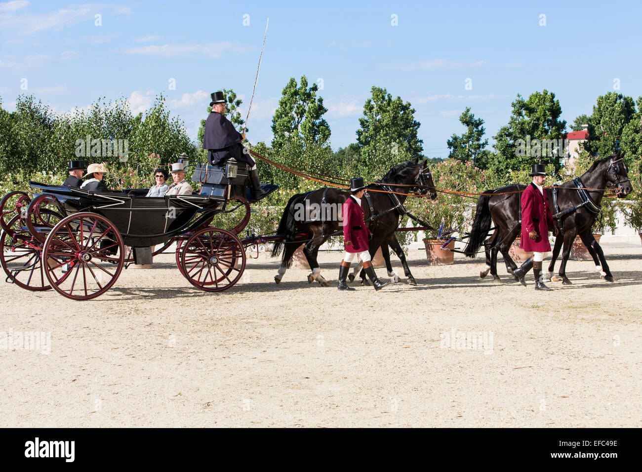 International competition for traditional carriages "La Venaria Reale ...